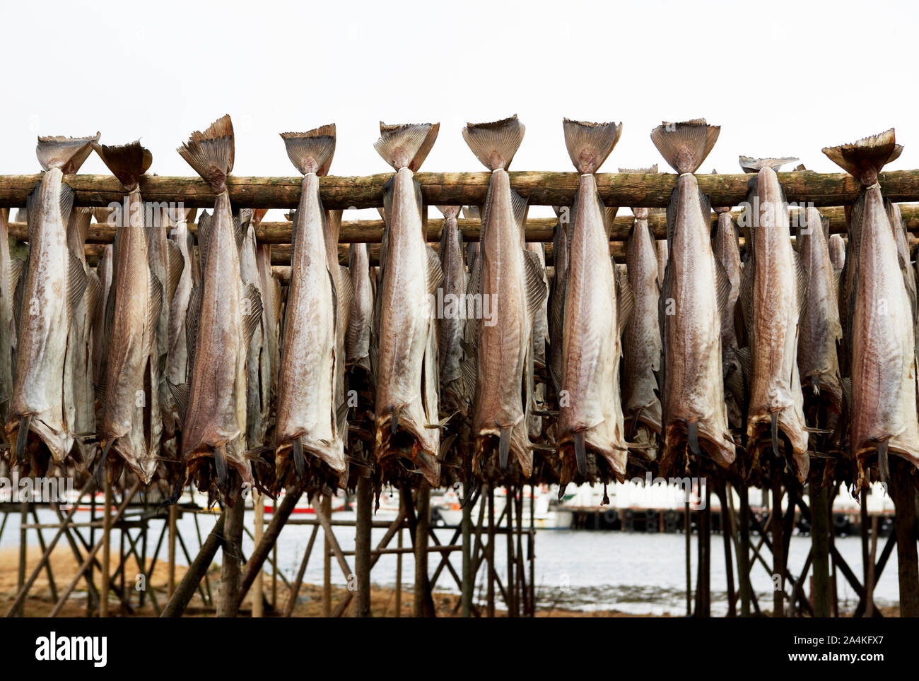 Drying racks in Lofoten Stock Photo - Alamy