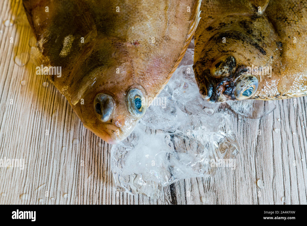 Fresh plaice Fish from the market Stock Photo - Alamy