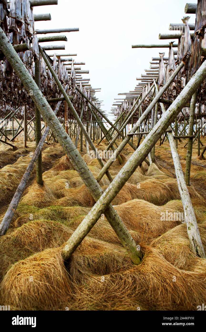 Drying racks in RÂØst Stock Photo - Alamy