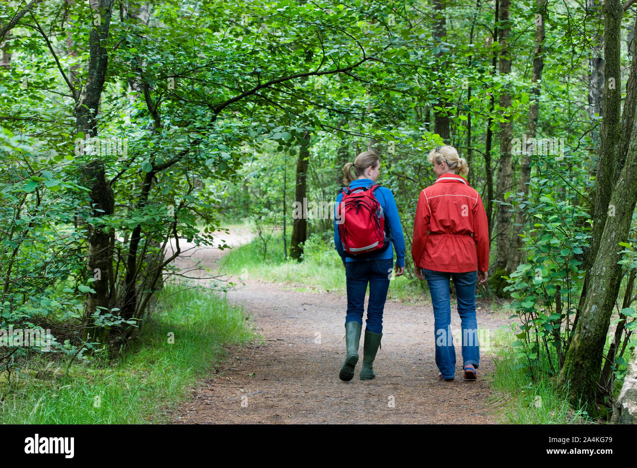 Female friends walking back view hi-res stock photography and images ...
