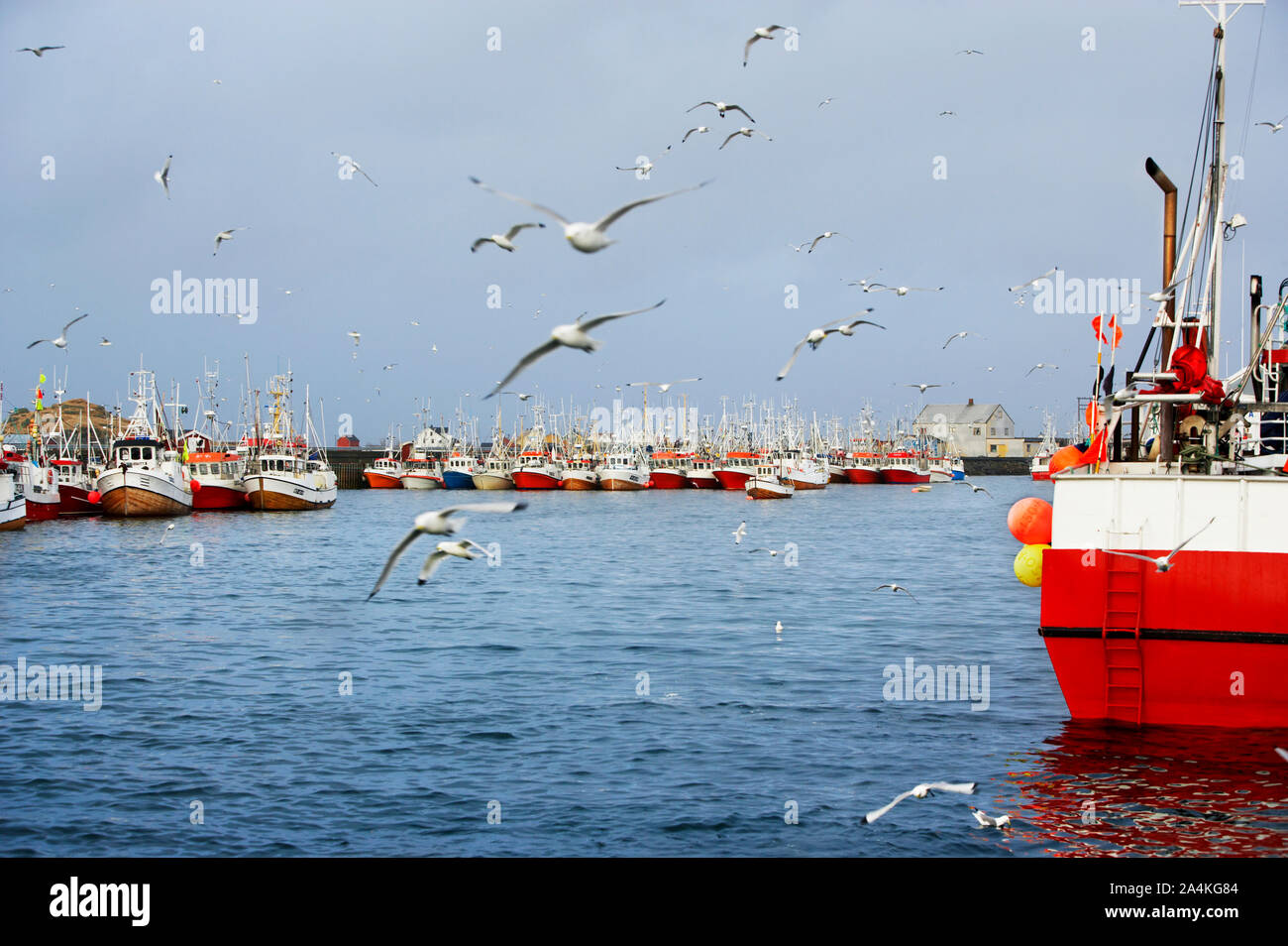 Fishing in Lofoten Stock Photo - Alamy