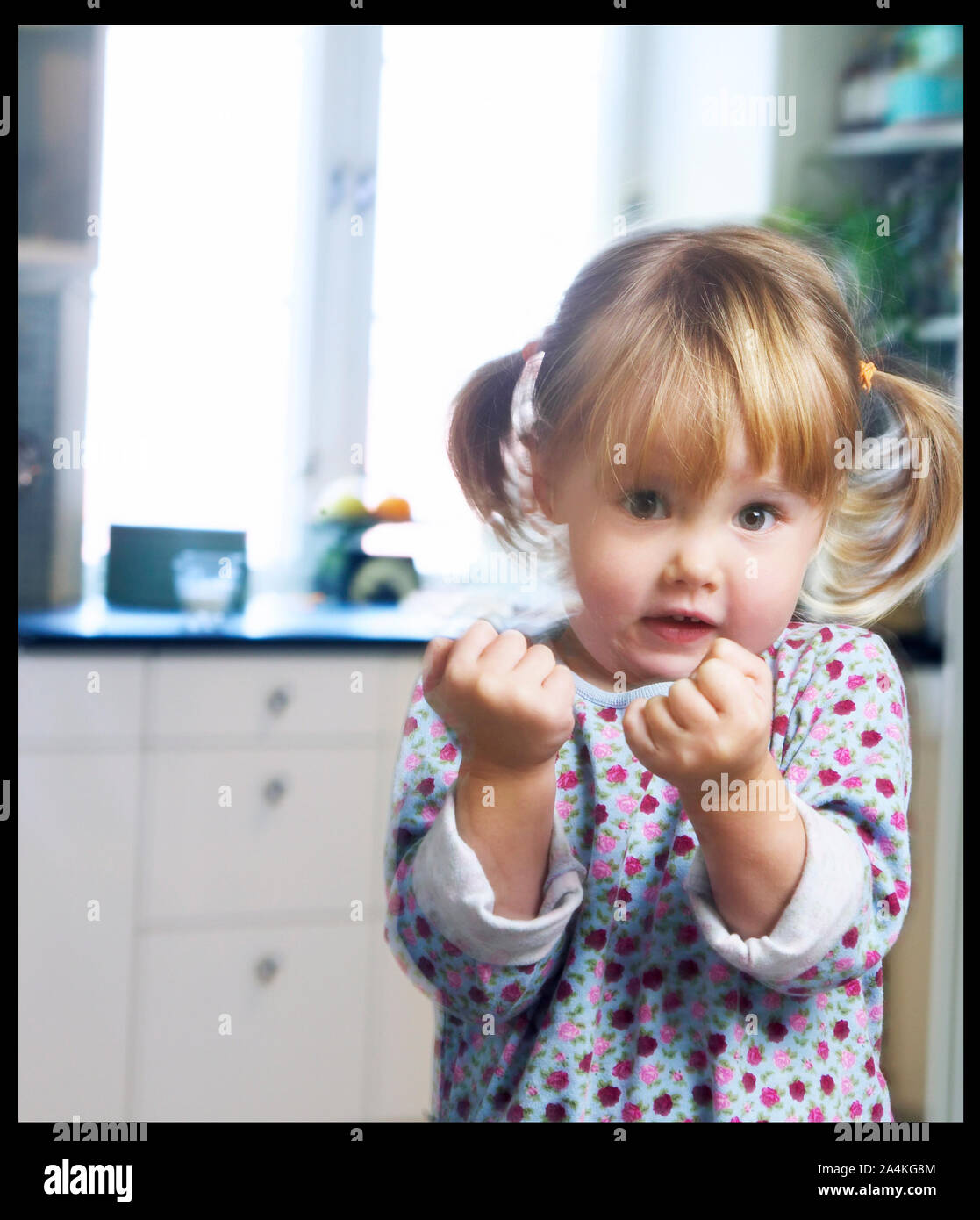 Eager girl, showing her fists, ready for fight in the kitchen Stock ...