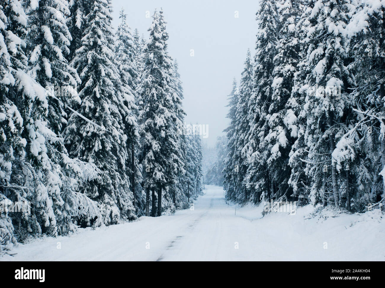 Trysil hi-res stock photography and images - Alamy