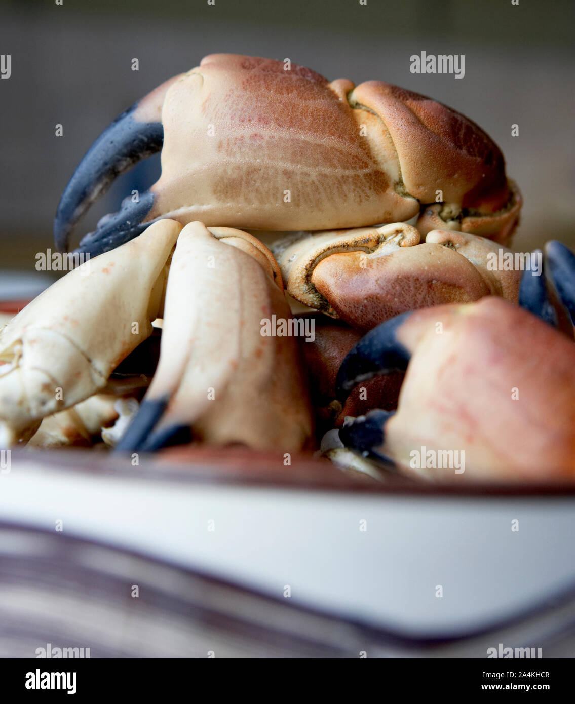Form of claws hi-res stock photography and images - Alamy