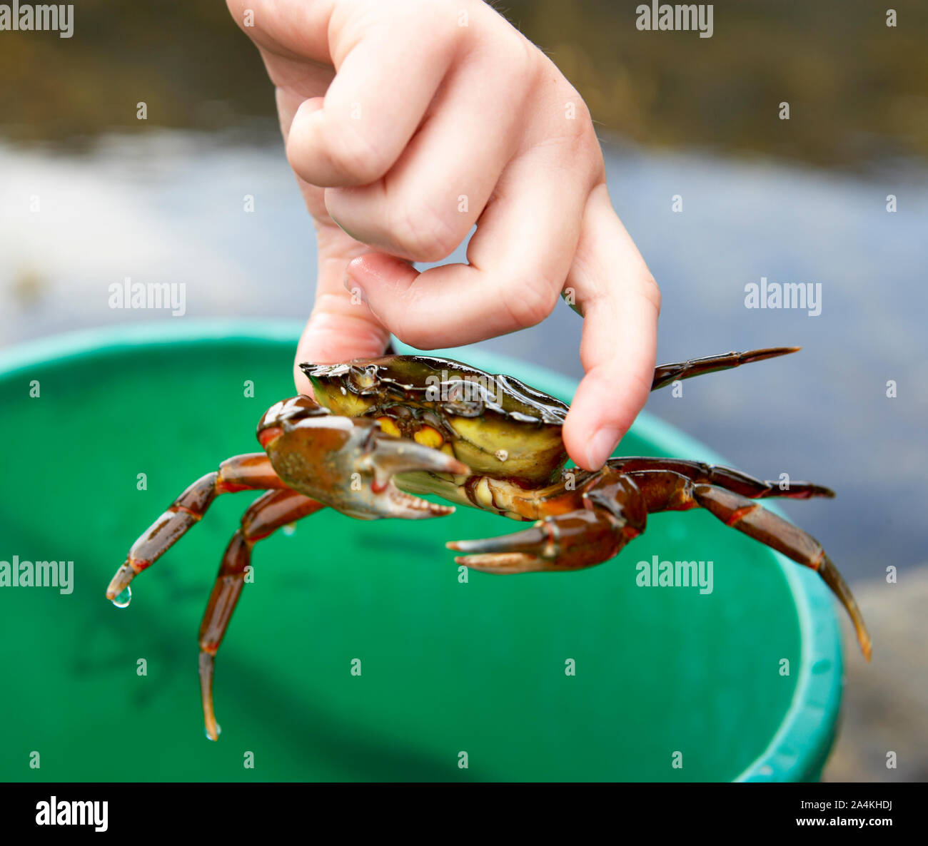 Catching form hi-res stock photography and images - Alamy