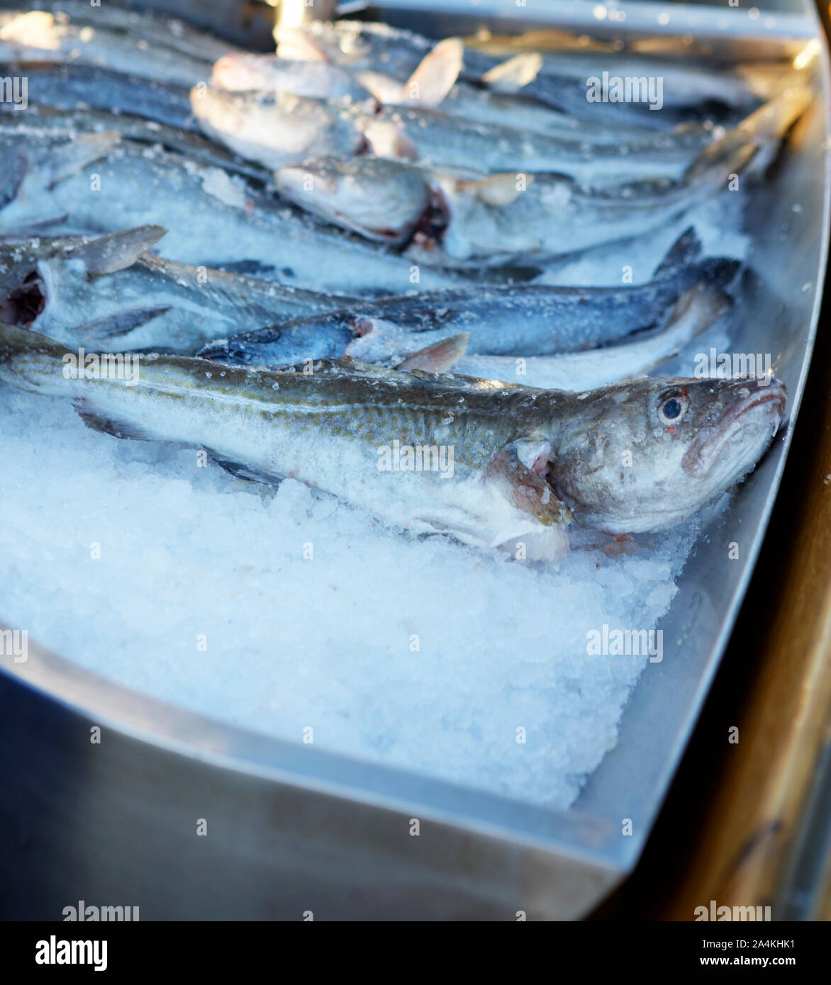 Fish details hi-res stock photography and images - Alamy
