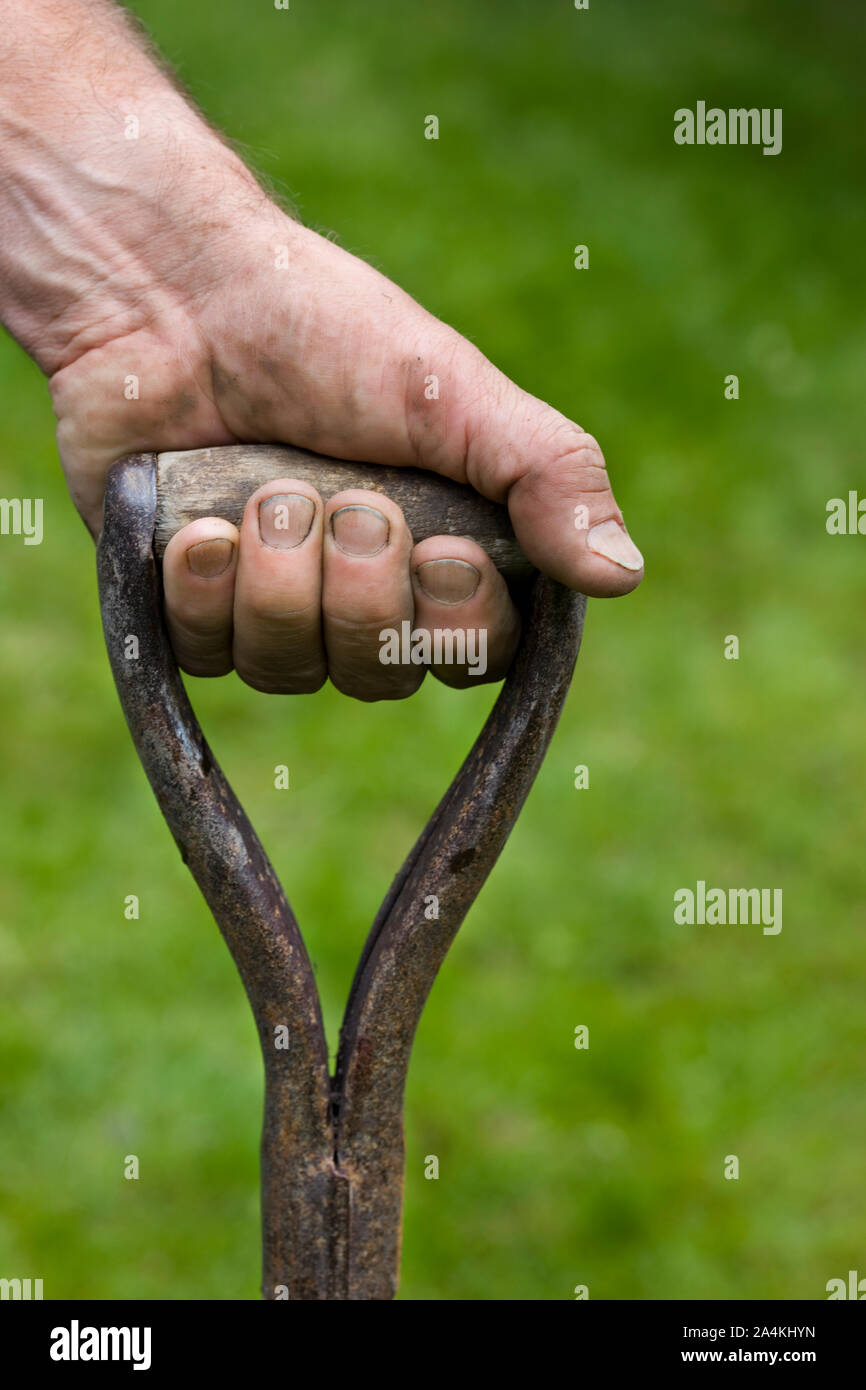 Man gardening - holding a spade Stock Photo - Alamy