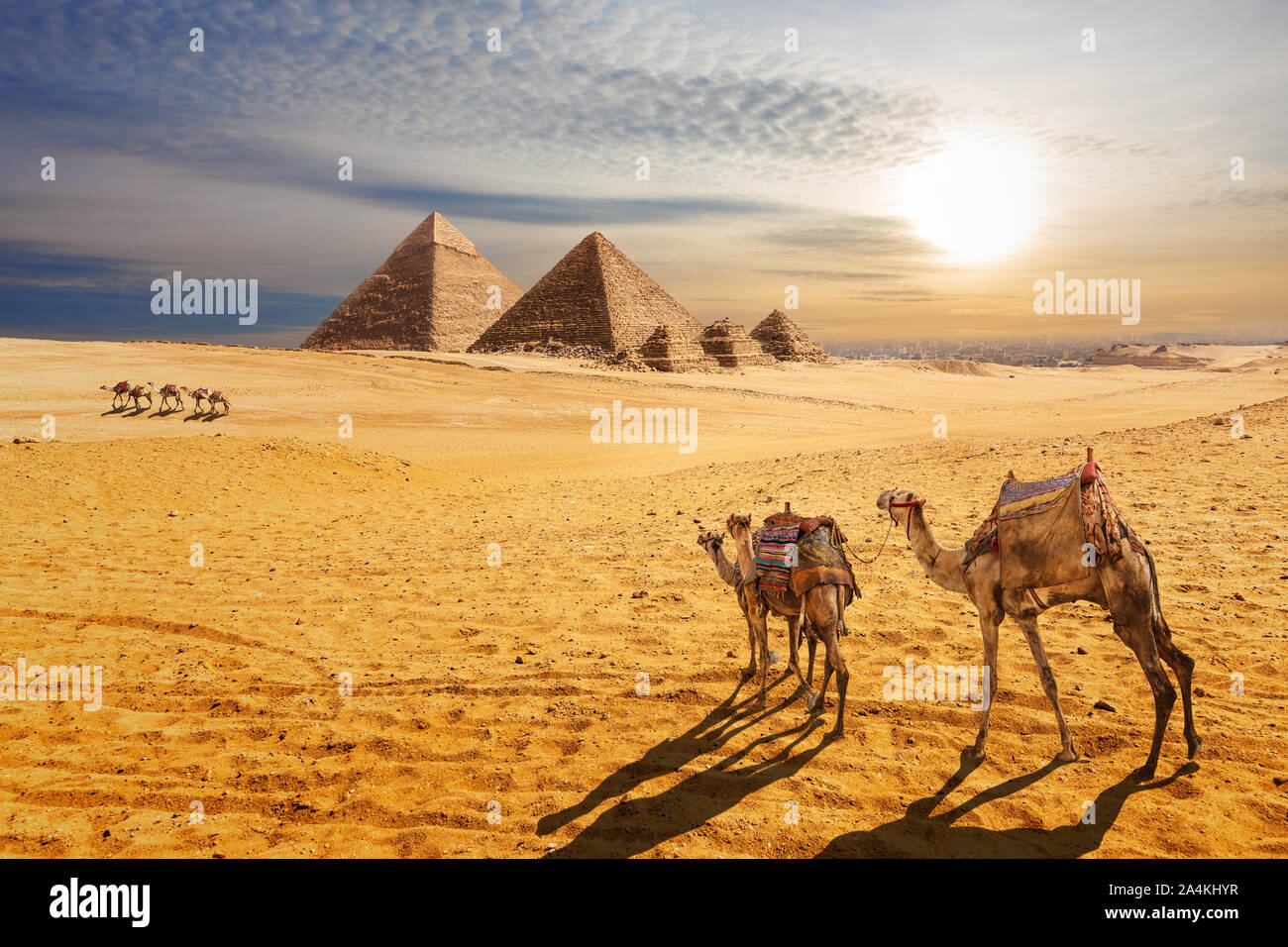 Sunset desert scenery, beautiful view of the Pyramids of Giza and ...