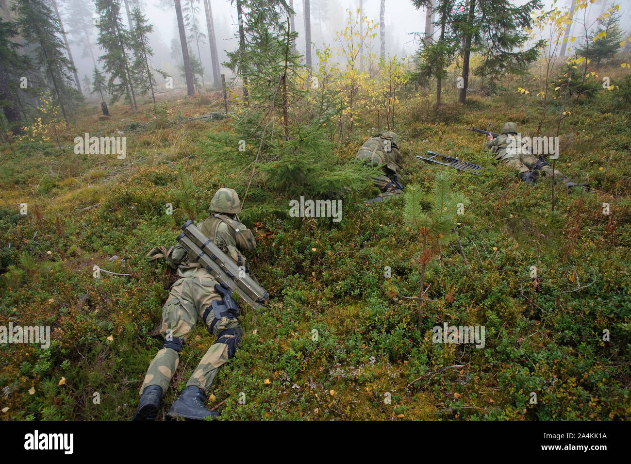 Military exercise in forest. Soldiers taking cover in forest. Hiding ...