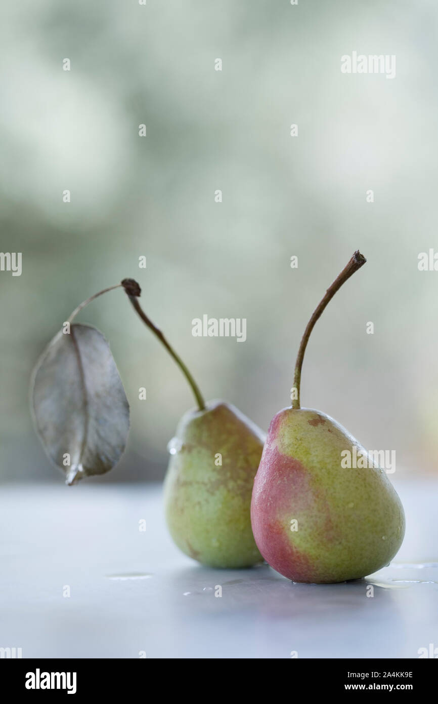 Pears form hi-res stock photography and images - Alamy