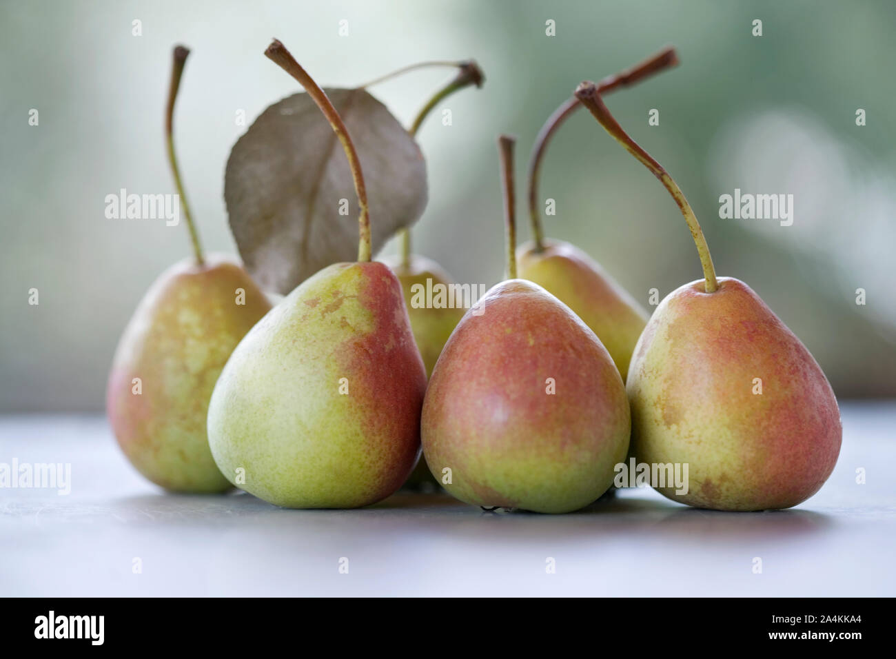 6 pears hi-res stock photography and images - Alamy