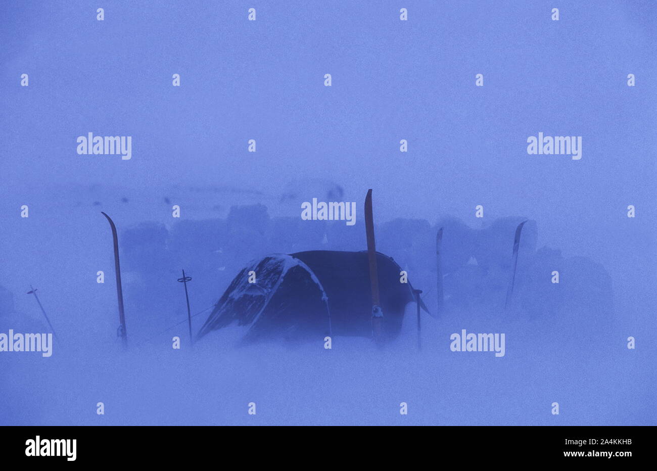 Tent in the snow storm Stock Photo - Alamy