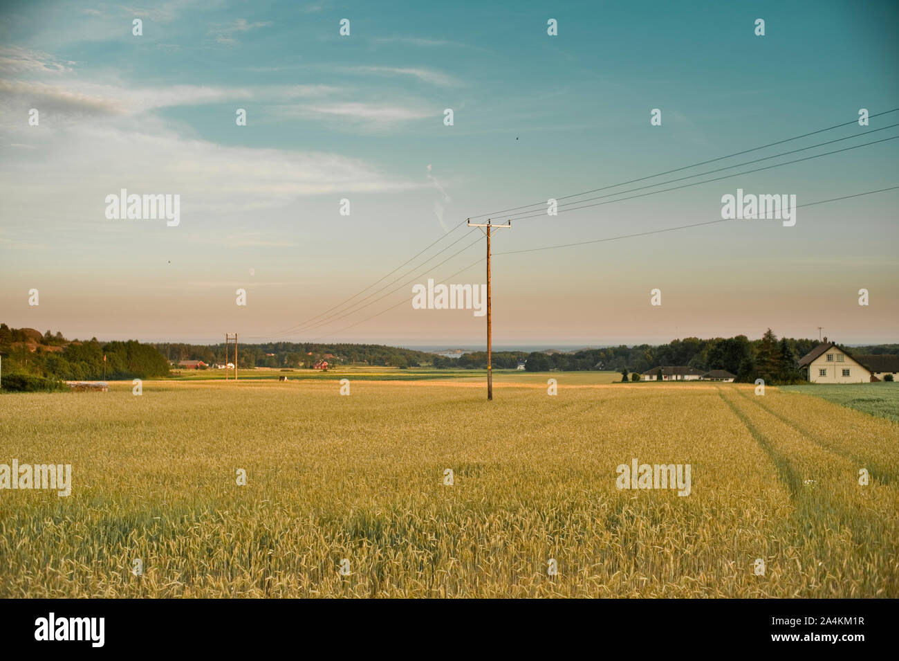 Telephone poles green field sky cable hi-res stock photography and ...