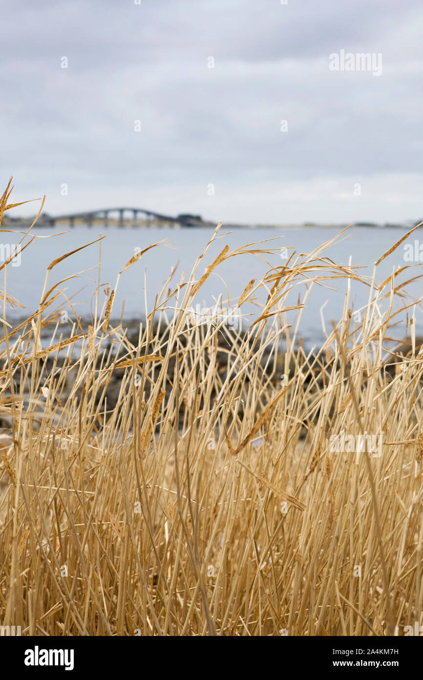 Giske bridge, between Valderøy and Giske Stock Photo - Alamy