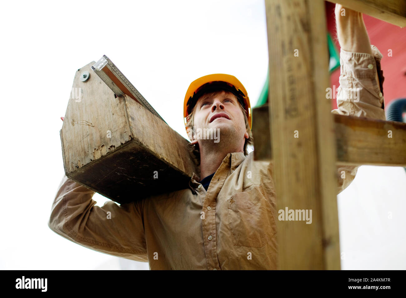 Builder carrying timber - yellow hard hat - construction worker Stock ...