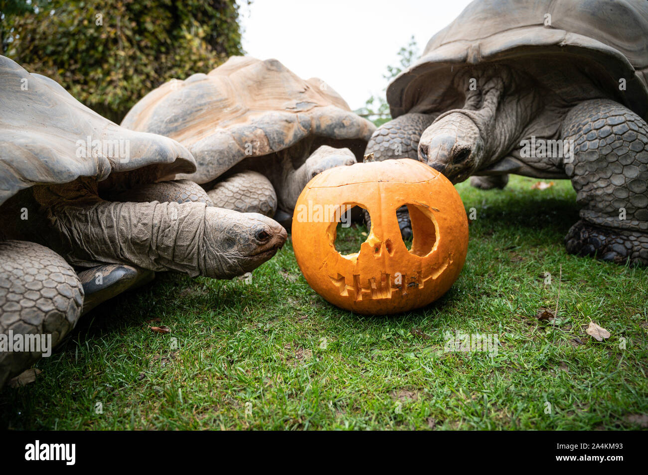 George sheldon hi-res stock photography and images - Alamy