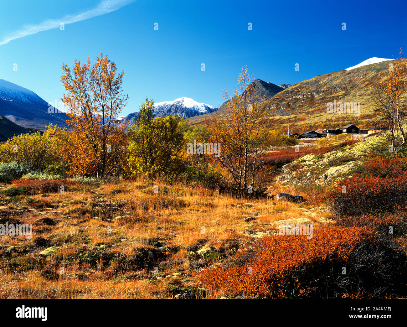 The Rondane area Stock Photo - Alamy