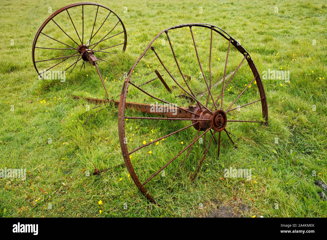 Rusty horse hi-res stock photography and images - Alamy
