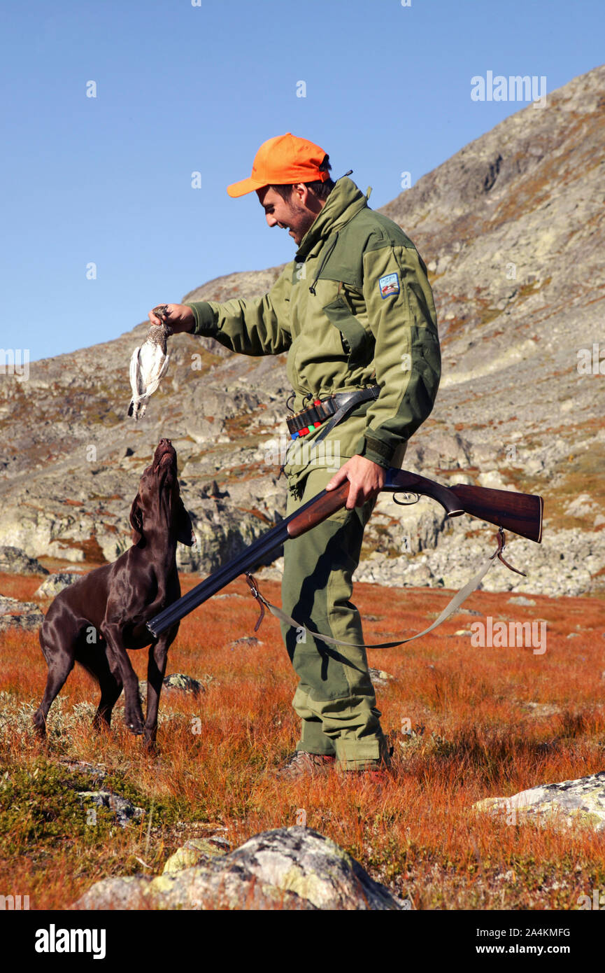 The hunter showing the dog the dead grouse Stock Photo - Alamy