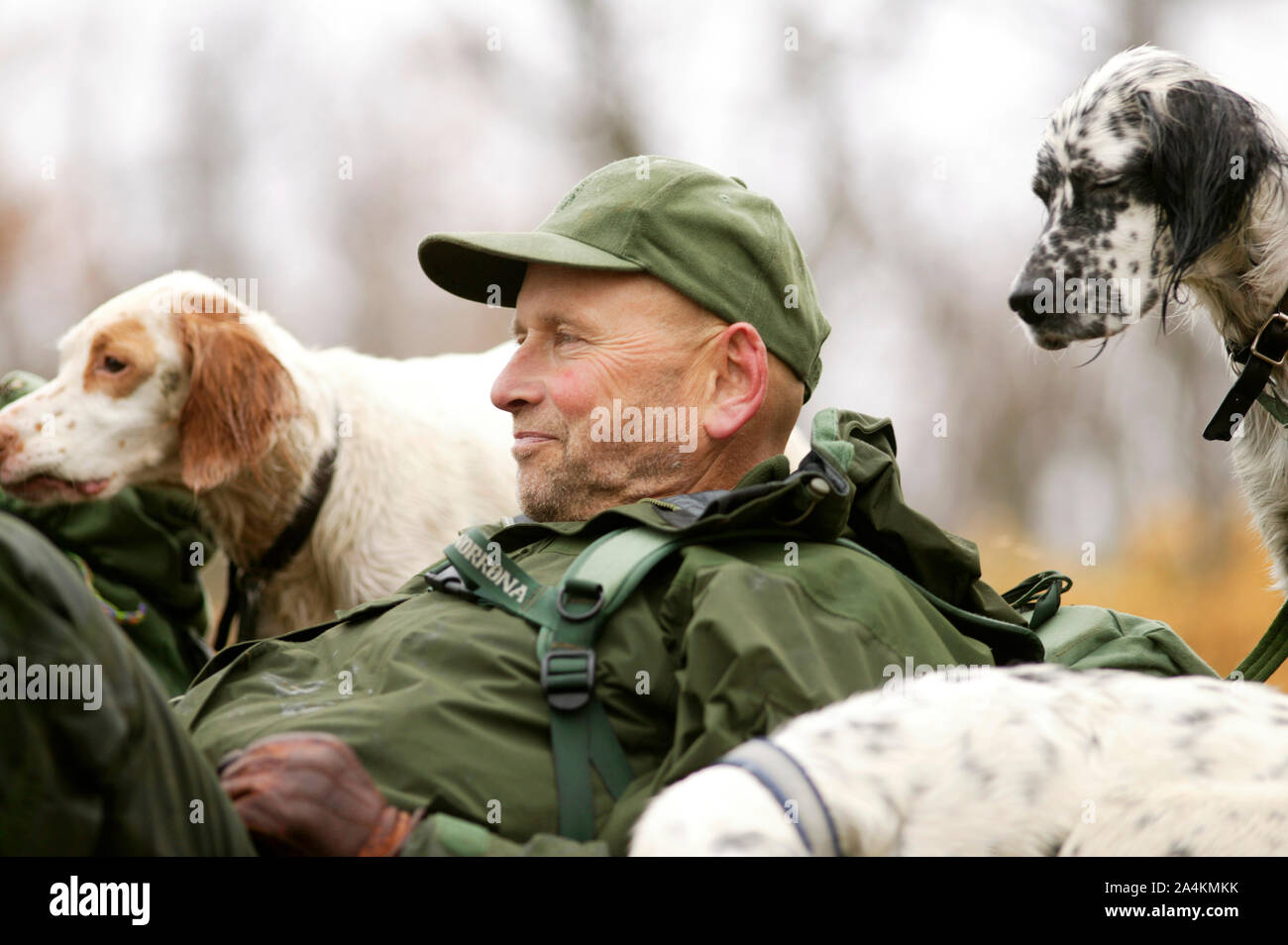 Resting hunting dogs hi-res stock photography and images - Alamy
