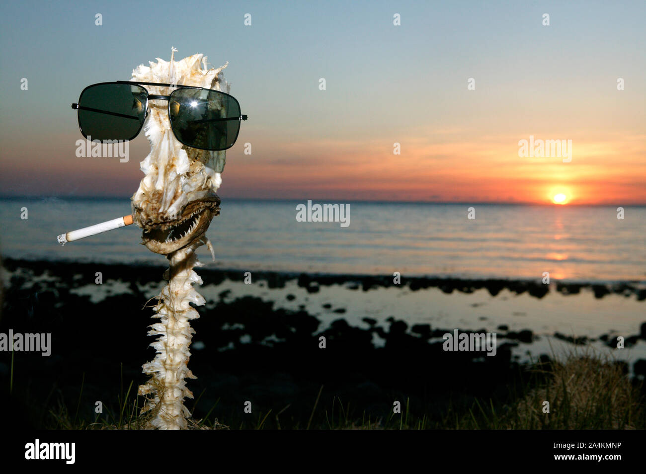 Skeleton smoking in sunset Stock Photo - Alamy