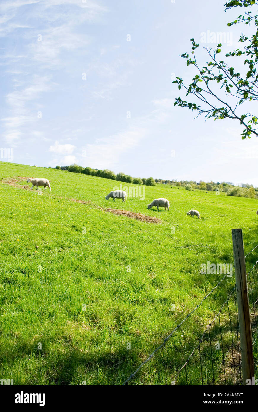Vinstra hi-res stock photography and images - Alamy