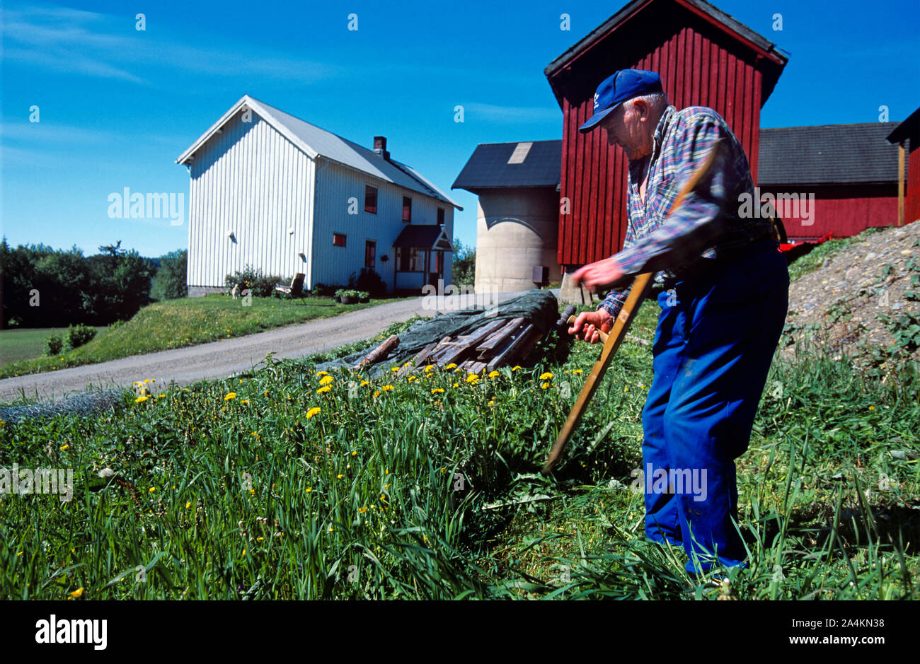 The Grim Reaper Stock Photo - Alamy