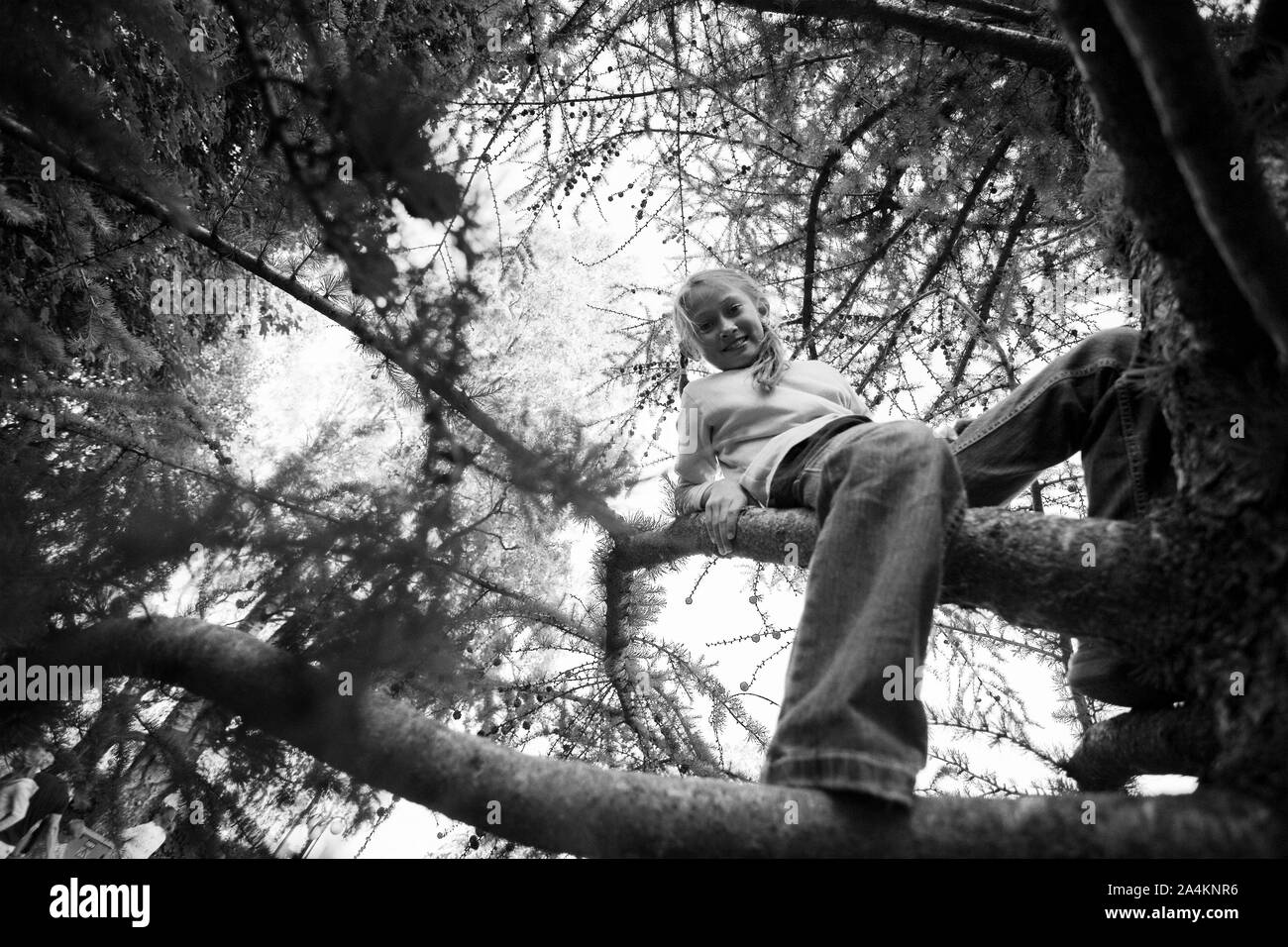 Girl in tree Stock Photo - Alamy