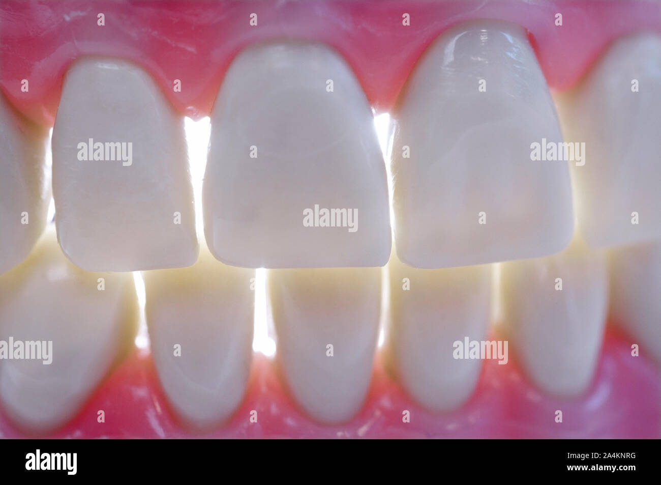 Teeth details hi-res stock photography and images - Alamy