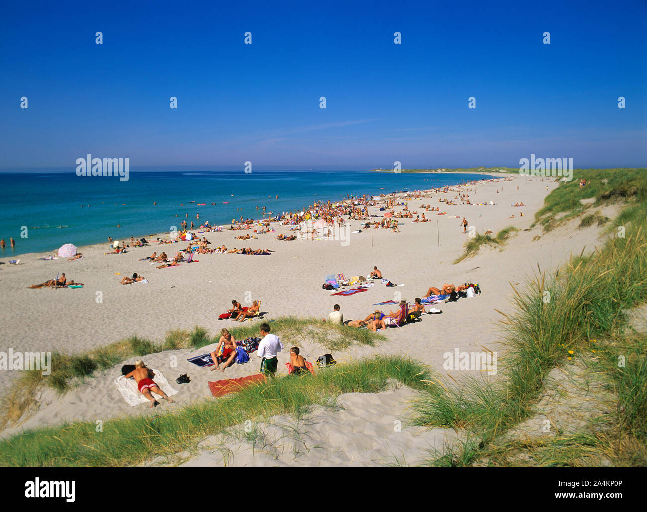 People in Orrestranden beach, Norway Stock Photo - Alamy