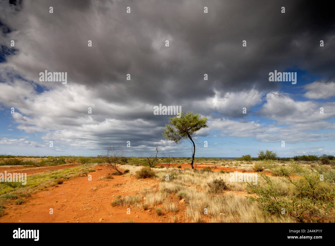 Desert landscape in Exmouth, Western Australia Stock Photo - Alamy