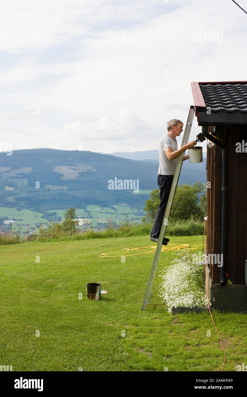 Man painting a house Stock Photo - Alamy