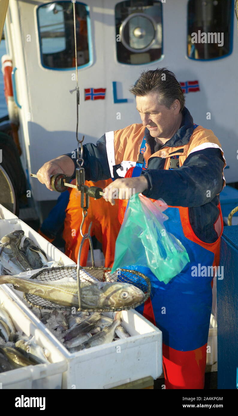 Fisherman at work Stock Photo - Alamy