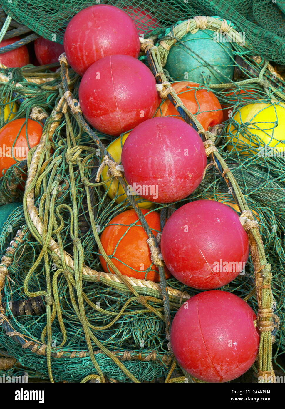Round nets hi-res stock photography and images - Alamy