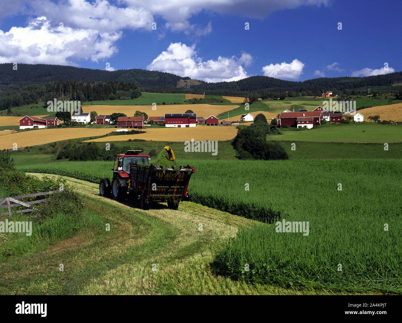 Norway crops agriculture hi-res stock photography and images - Alamy