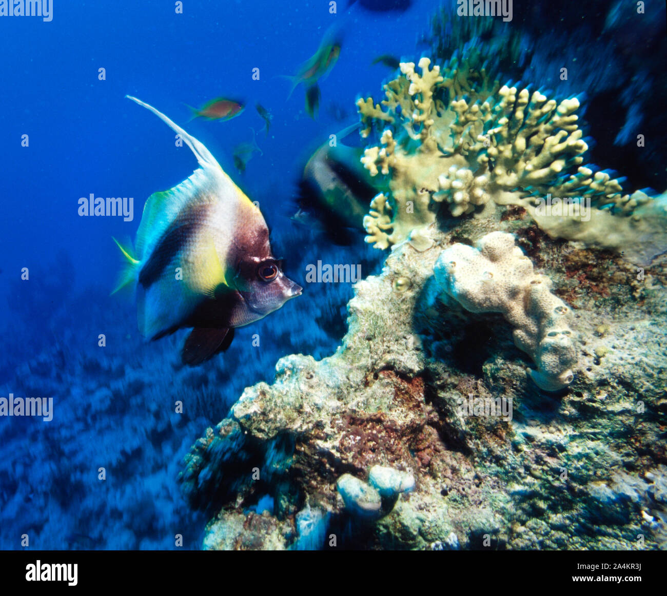 Red rocks form hi-res stock photography and images - Alamy