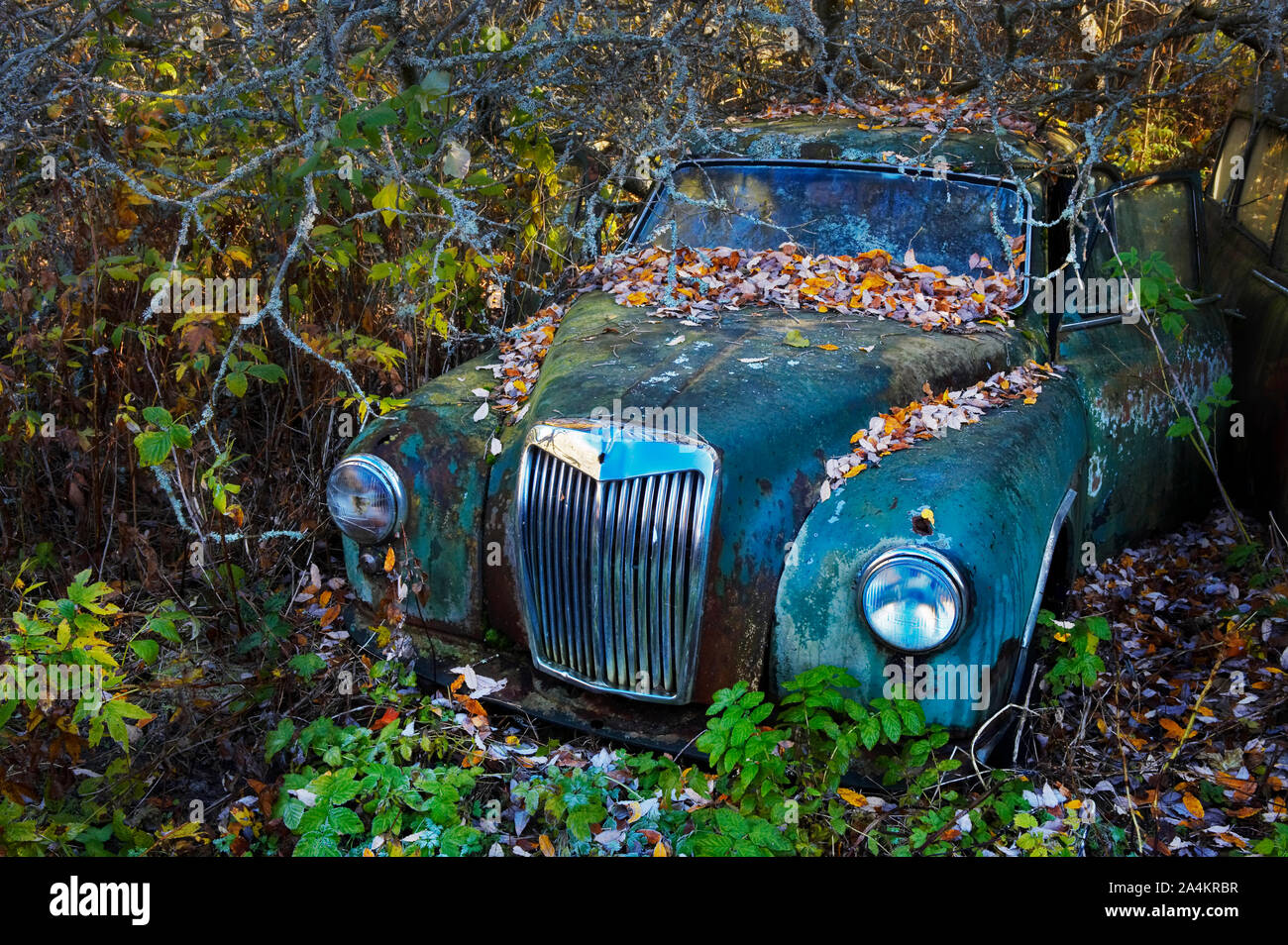 Wrecked vehicles hi-res stock photography and images - Alamy