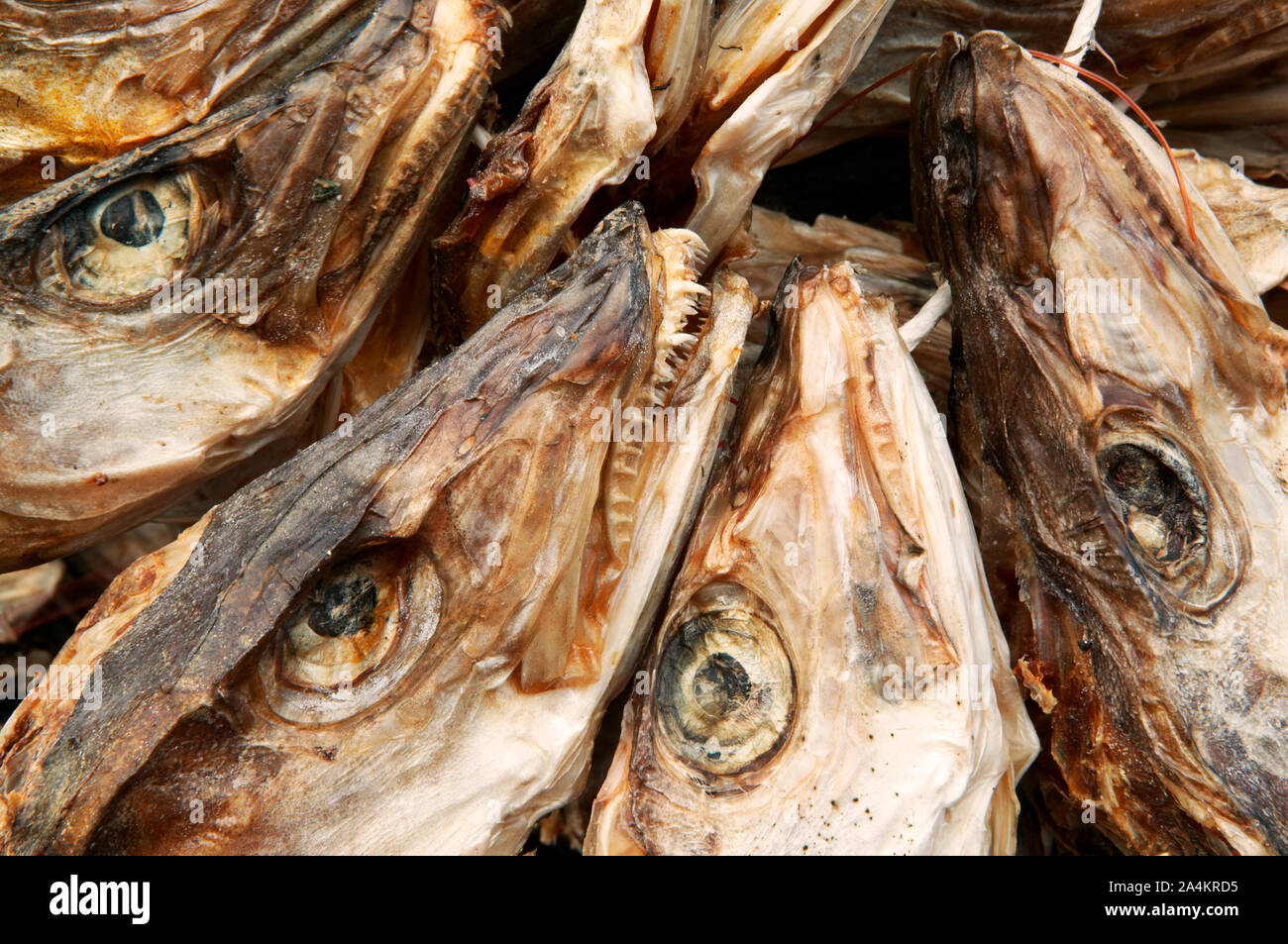 Cod ´s head Stock Photo - Alamy