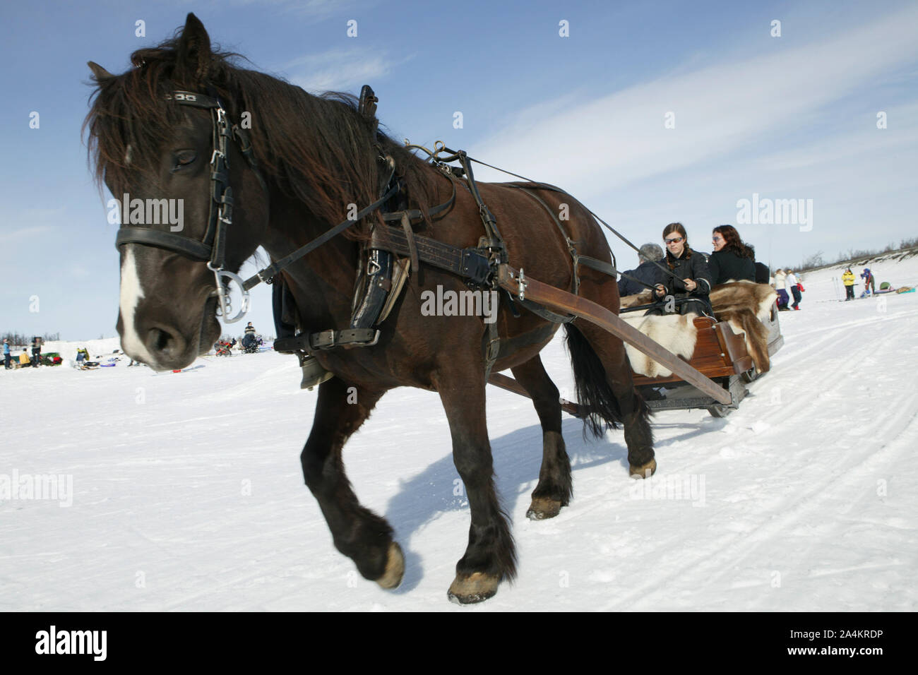 Horse sledges hi-res stock photography and images - Alamy