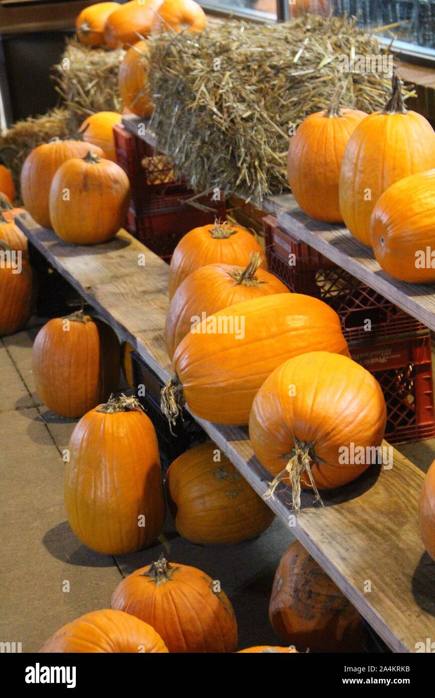 Hay shelf hi-res stock photography and images - Alamy