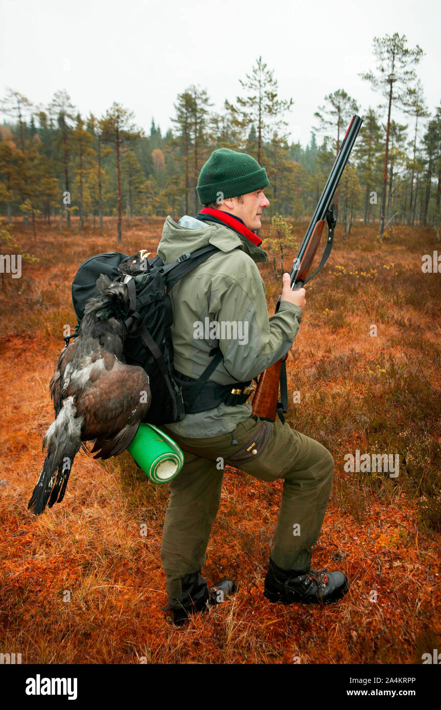 Bird hunting - hunter - carrying the dead Capercaillie Stock Photo - Alamy