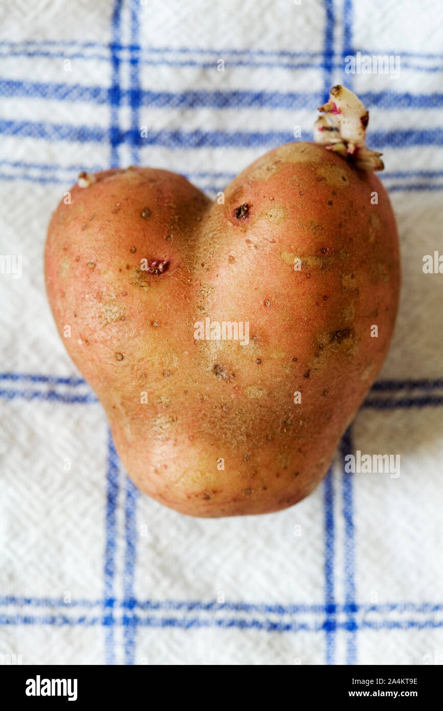 Potato shapes hi-res stock photography and images - Alamy