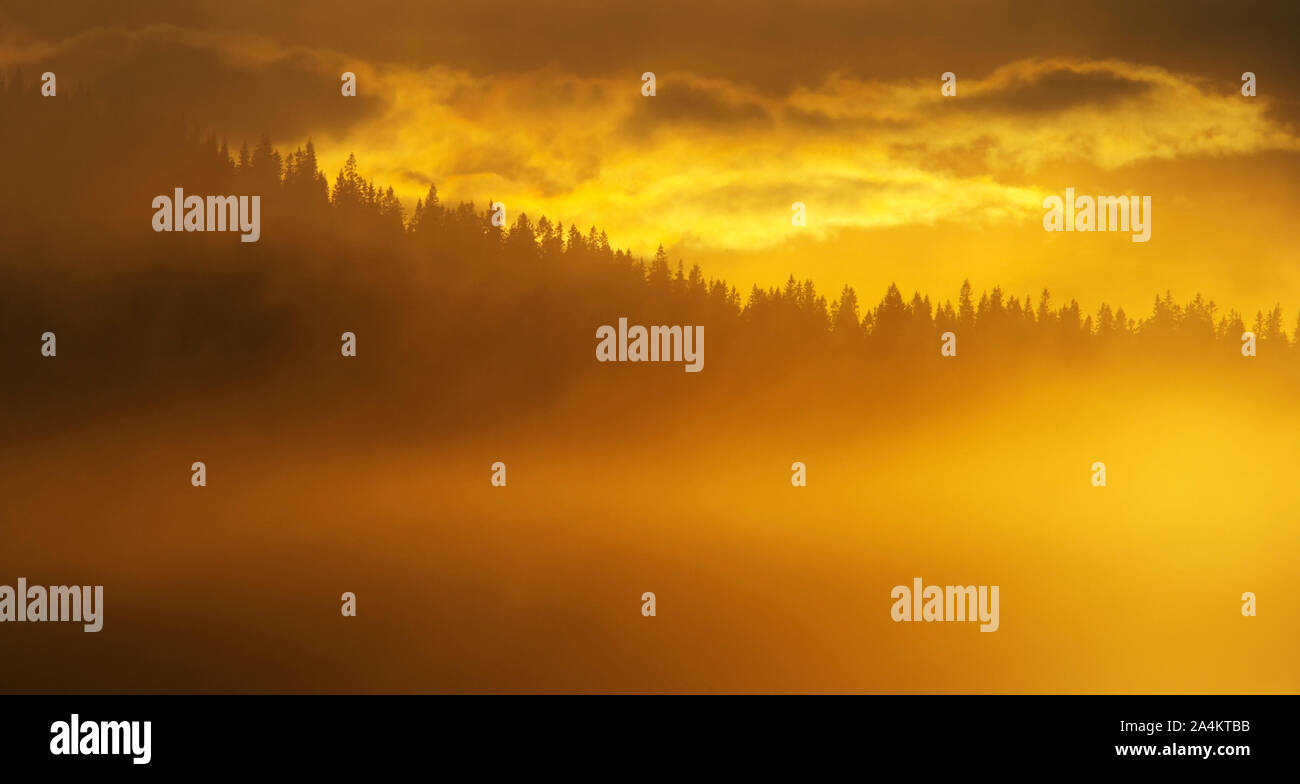 Nordmarka hi-res stock photography and images - Alamy