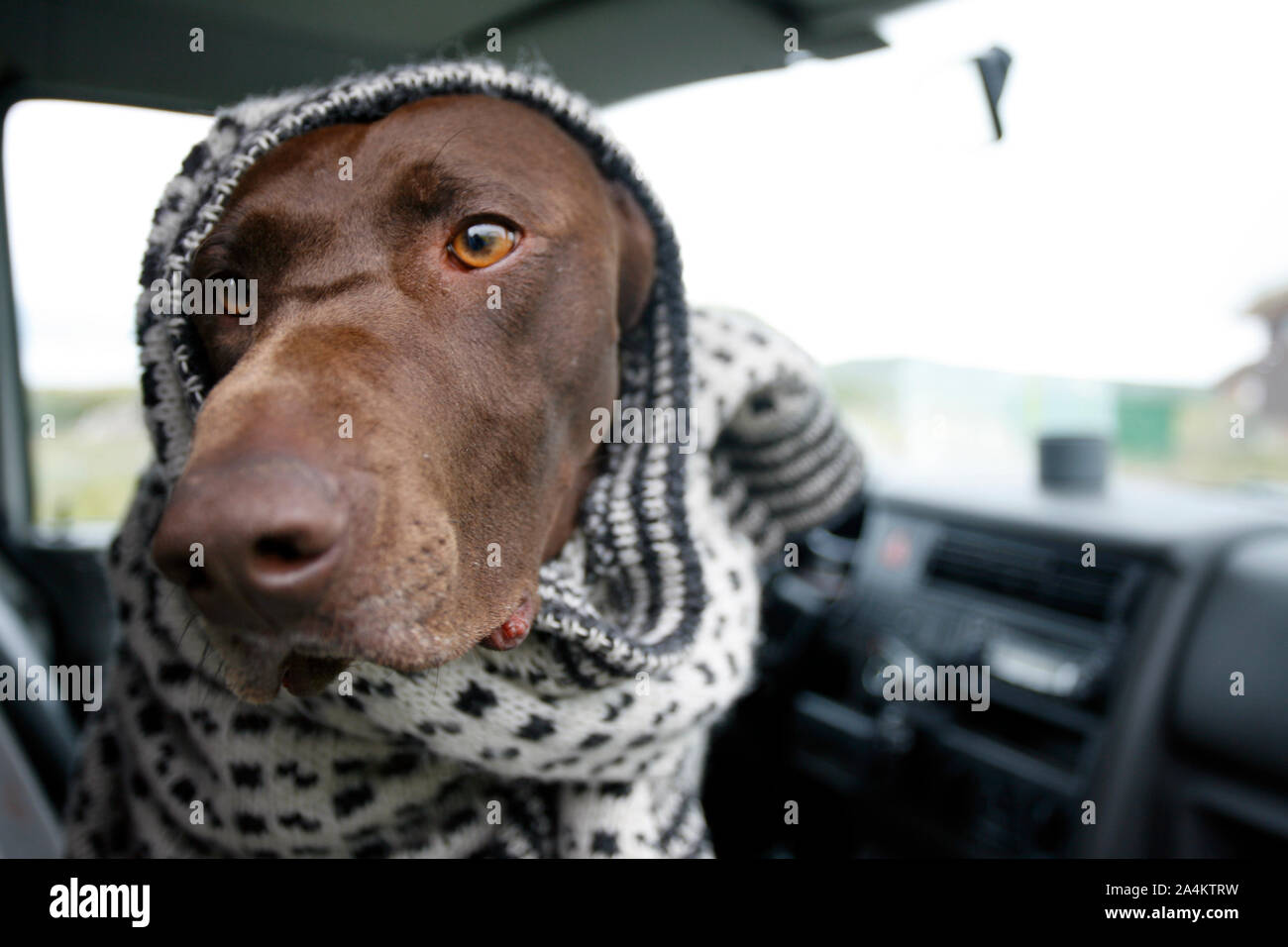 Typical sweater hi-res stock photography and images - Alamy