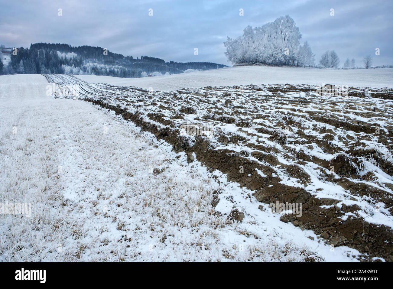 Field in Hadeland, Norway Stock Photo - Alamy
