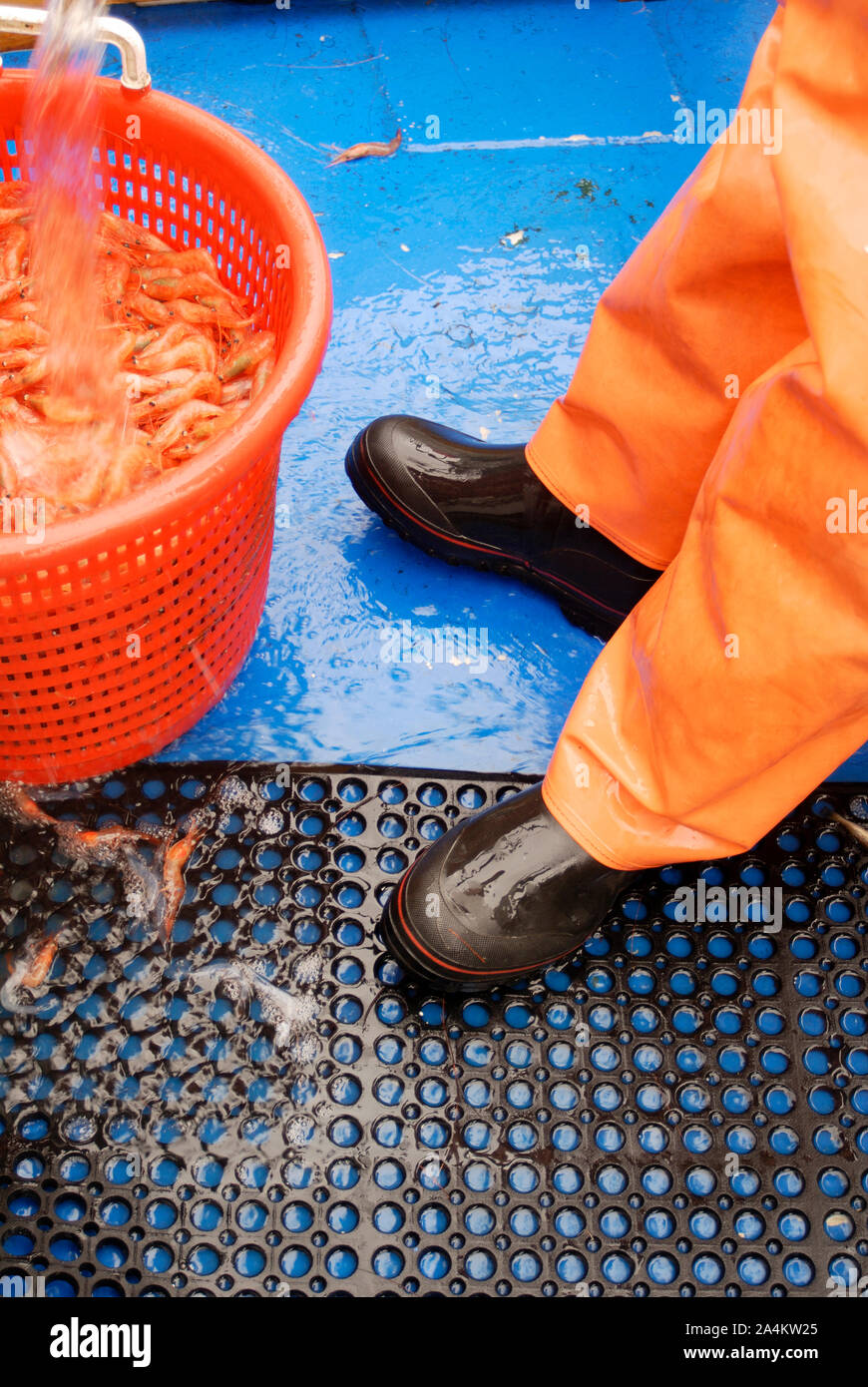 Fisherman at work Stock Photo - Alamy