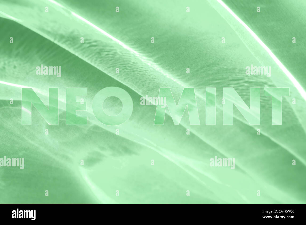 Trendy mint colored lettering on abstract background with light and ...