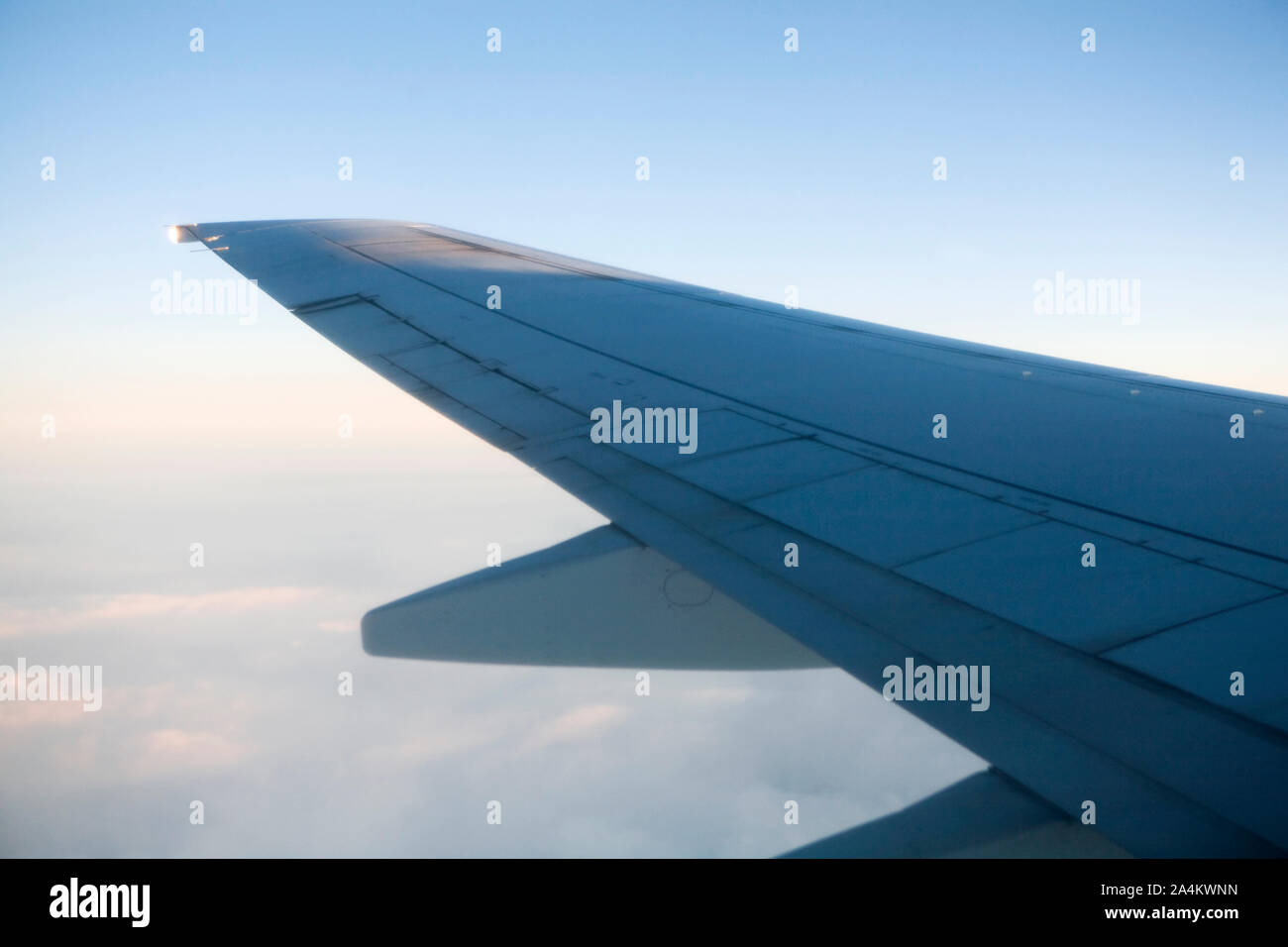 1 wing wings hi-res stock photography and images - Alamy