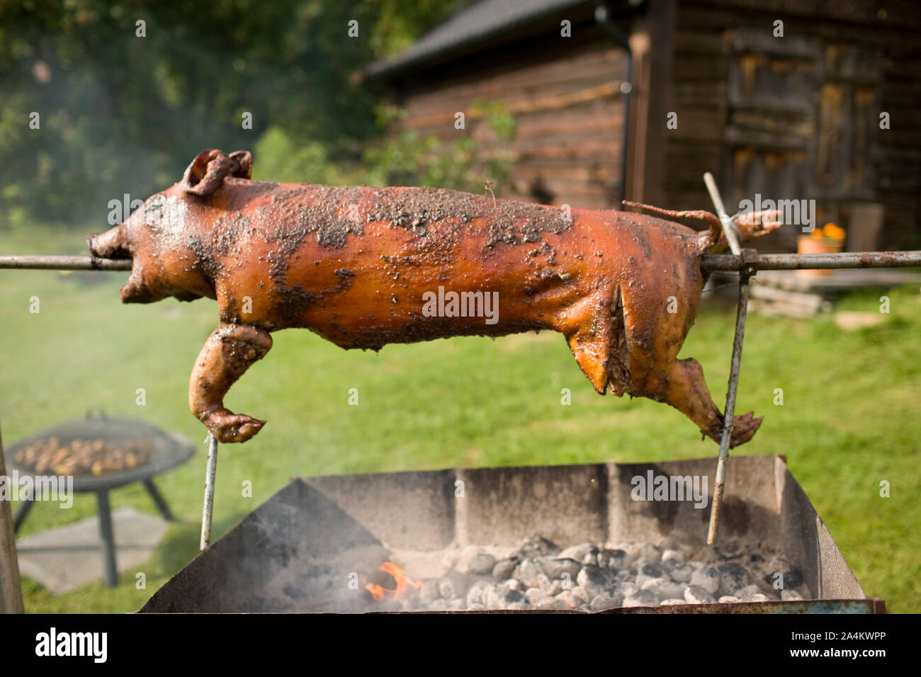 Barbecuing a pig hi-res stock photography and images - Alamy