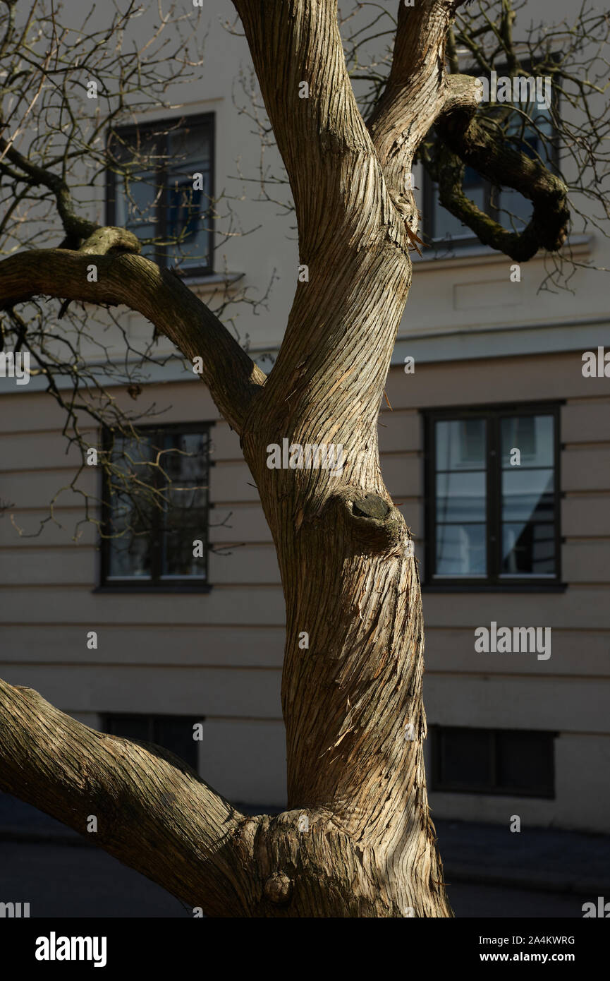 Spring in Oslo, Norway Stock Photo - Alamy